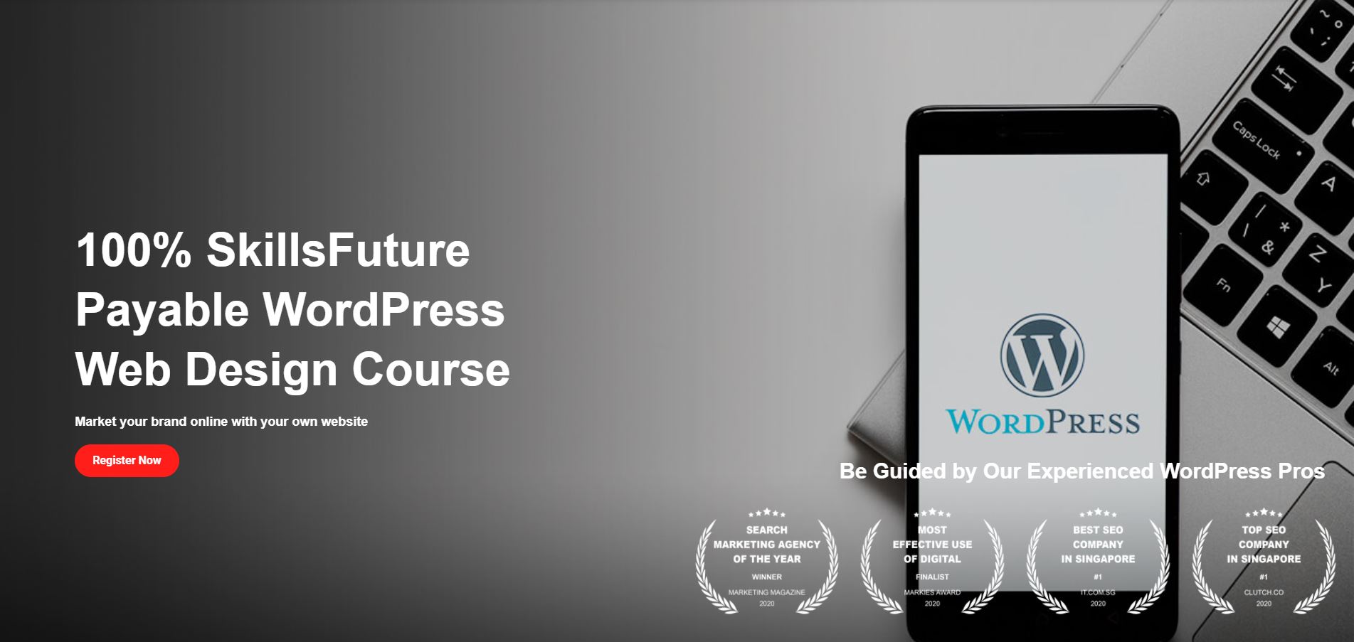 Wordpress Web Design Course 2023 | 100% SkillsFuture Payable